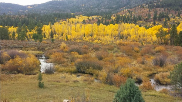 Things to do in Midway, Utah - KeepMovingForwardWithMe