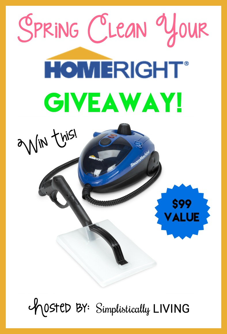 GIVEAWAY: Spring Clean your Home Right! - KeepMovingForwardWithMe